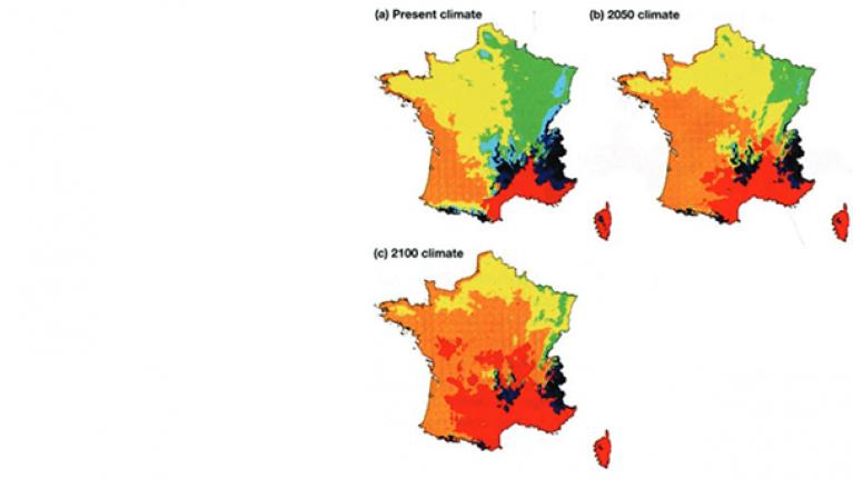 Effets attendus du changement climatique sur l'arbre et la forêt